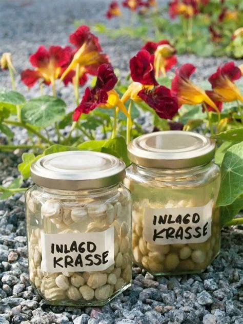 Kapris Av Krasse Recept Allas