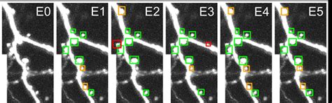 Generation Of Ground Truth Data By Five Human Expert Annotators Based