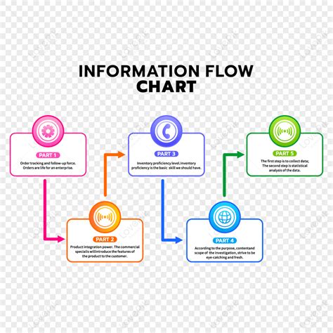 Information Flow Chart Office Document Information Color Chart Vector