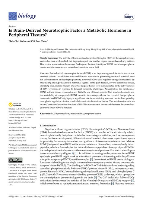 Pdf Is Brain Derived Neurotrophic Factor A Metabolic Hormone In Peripheral Tissues