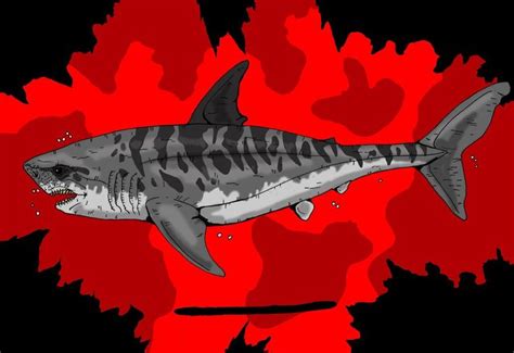 Megalodon Jurassic World San Diego Wiki Fandom Megalodon Jurassic World San Diego Wiki Fandom