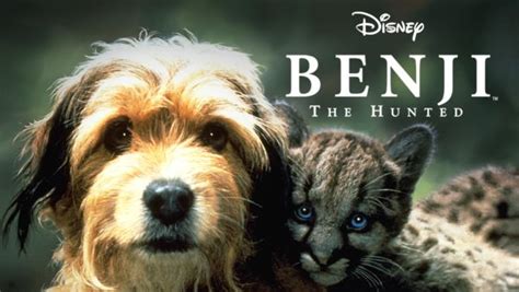 Is Benji The Hunted On Disney Uk Where To Watch The Movie New On