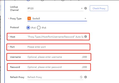 How To Set Up A Proxy In Bitbrowser