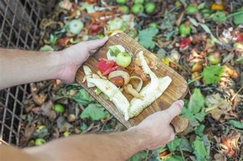 Cold Composting Step By Step Guide