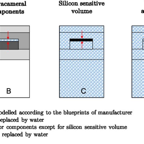 Schematic Drawing Of The Detector Fluence Study The Different Levels