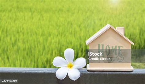 키 기호와 Plumeria 꽃과 나무 집 모델 흐릿한 녹색 필드 배경 부동산 및 부동산 투자 사업 개념에 공간 0명에 대한 스톡 사진 및 기타 이미지 Istock