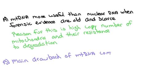 The So Called Hypervariable Regions Hv1 And Hv2 Of The Human Mitochondrial Genome Are