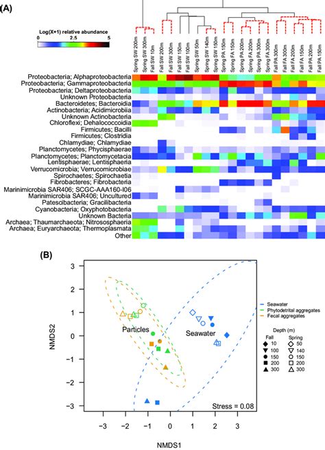 A Heatmap Depicting Log X Transformed Relative Abundances Of Download Scientific Diagram