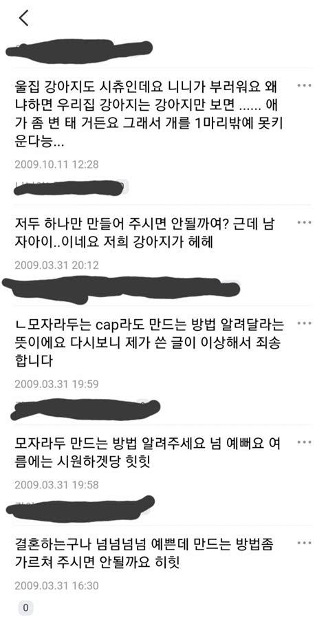 2008년 내가 카페에 단 댓글 인스티즈 Instiz 일상 카테고리