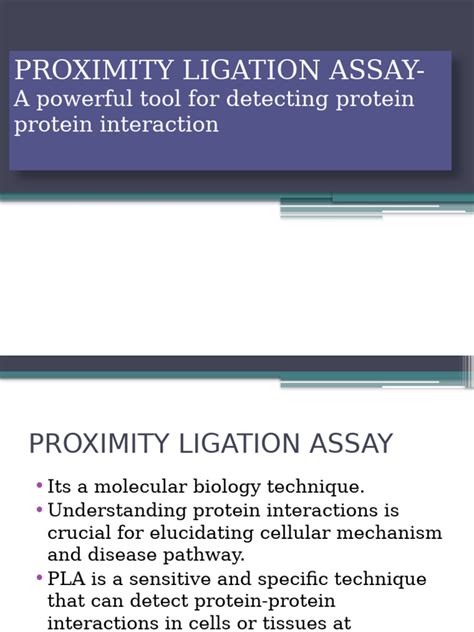 Proximity Ligation Assay Pdf Dna Ligase Proteins