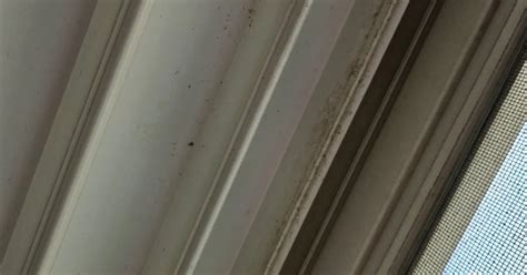 시간약속도 잘 지켜주시고 사이청소였는데 빠르고 세심하게 작업해주셨어요 작업팀장님이 친절해서 기분이 좋았습니다 숨고 숨은고수