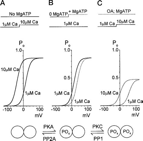 Diagramatic Summary Of The Experimental Results Boltzmann Curves Download Scientific Diagram
