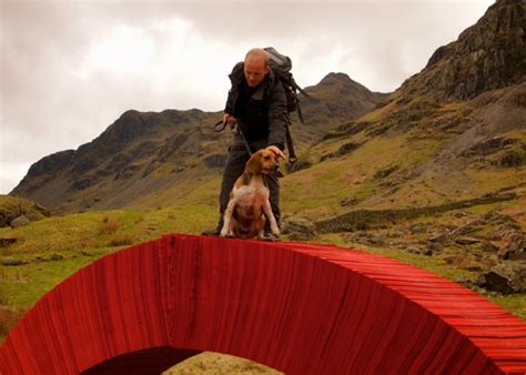 Steve Messam Creates Bridge From 20 000 Sheets Of Paper