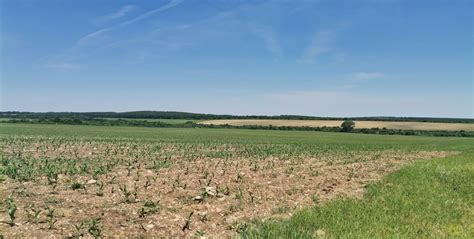 Актуални теми и авторитетна наука в Ix та Международна научна конференция на Института по