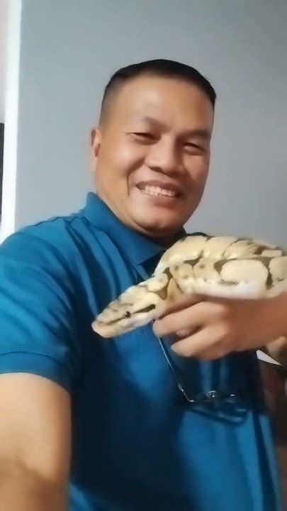 Pythons🐍🐍😊🫰 Youtube