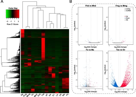 Differential Expression Analysis And Identification Of Sex Biased