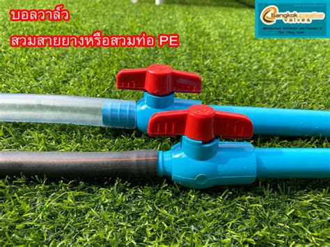 บอลวาล์ว สวมท่อpvc สายยางหรือท่อpe ขนาด 20 25 มิล Th