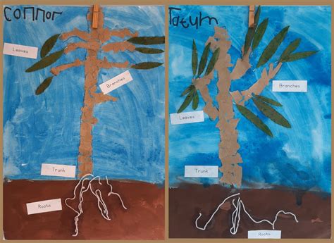 Prebabe Tree Art Activity Parts Of A Tree Tree Study Art Activities Tree Art Trees To