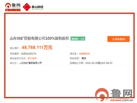 首付不低30，山东地矿集团二次挂牌转让山东地矿控股100股权国际融资租赁