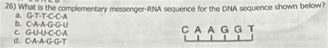 Solved 26 What Is The Complementary Messenger Rna Sequence For The Dna Sequence Shown Below 3