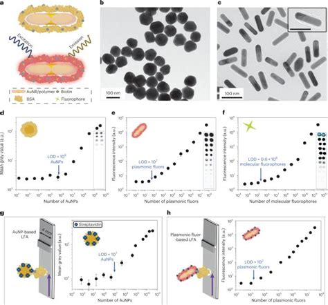 Rohit Gupta Phd On Linkedin Ultrasensitive Lateral Flow Assays Via