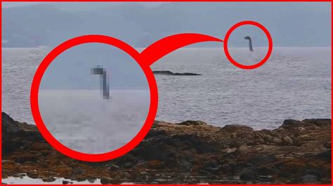 10 Dinosaurs Caught On Camera In Real Life Youtube