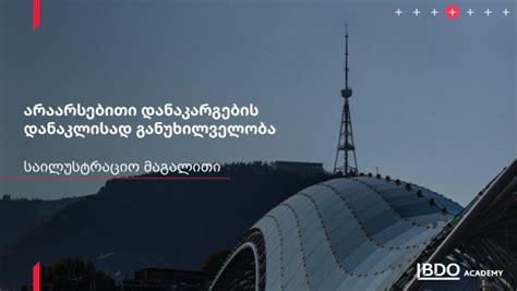 ბიდიო აკადემია ტრენინგების ჰაბი