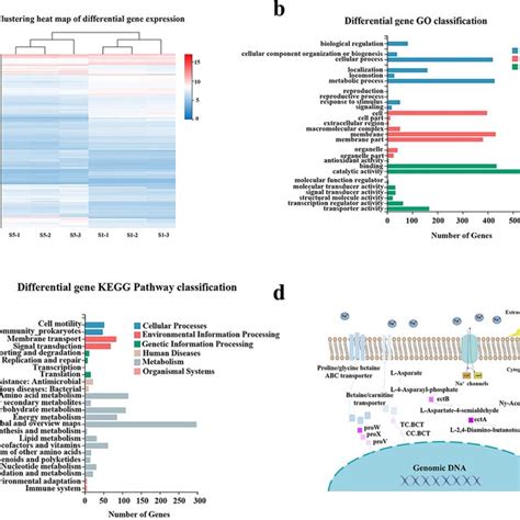 Transcriptome Data Analysis A The Heat Map Based On Hierarchical Download Scientific Diagram