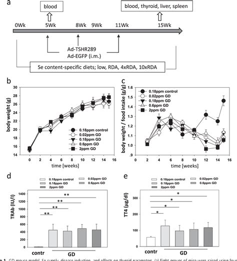 Figure 1 From Role Of Selenium Intake For Risk And Development Of Hyperthyroidism Semantic Scholar