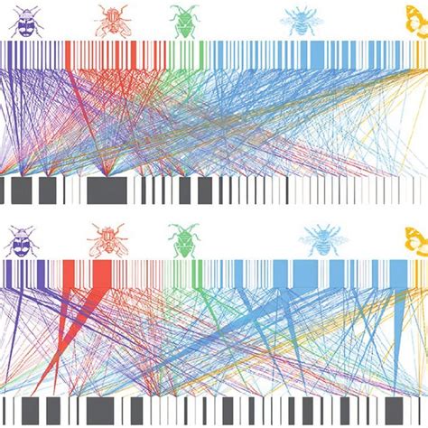 Plant Pollinator Interaction Networks Constructed Based On A Pt And