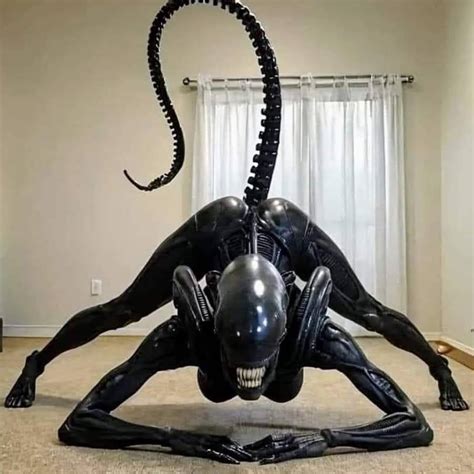 Post From Xiryurikalo