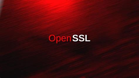 Openssl Fixes Two High Severity Vulnerabilities What You Need To Know