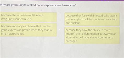 Solved Why Are Granulocytes Called Polymorphonuclear