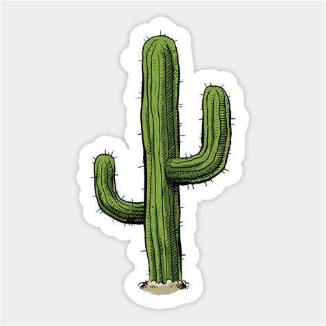 Cactus Sticker By Ghalya01 Artofit