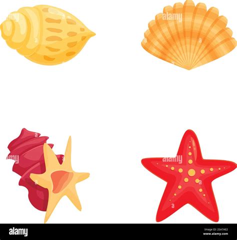 Vibrant Illustration Featuring Various Types Of Sea Shells And A