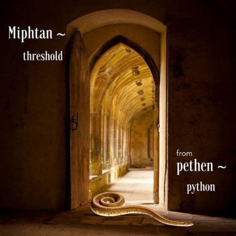 1 Love Overcomes Python Red Thread Poets