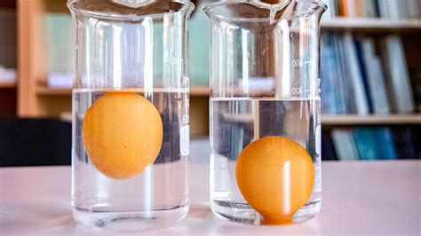 Αρχική Chemnoesis