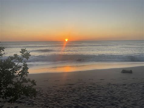 Raelyn Cheung Sutton On Reels Facebook