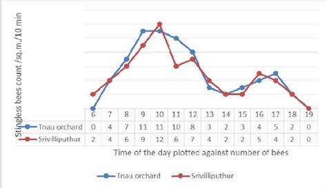 foraging activity of stingless bee inside the greenhouse floral