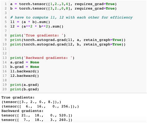 Python Pytorch Two Losses Of Two Variables Stack Overflow