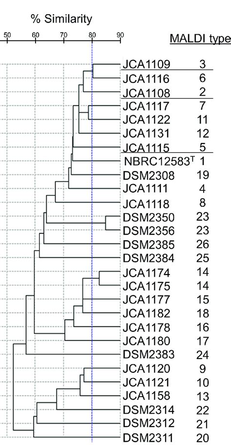 Dendrogram Of Bacillus Coagulans Maldi Tof Ms Spectra Based On Saramis Download Scientific