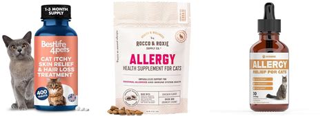 Top 5 Otc Allergy Meds For Cat Allergies A Helpful Review Guide