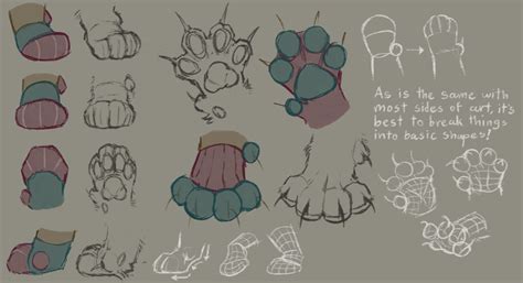 Scoots Warriors Designs