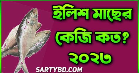 আজকে ইলিশ মাছের দাম কত। ইলিশ মাছের দাম ২০২৩। ঢাকায় ইলিশ মাছের কেজি কত।