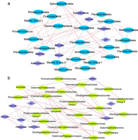 Microbial Co Occurrence Networks For Prokaryotes A And Download Scientific Diagram