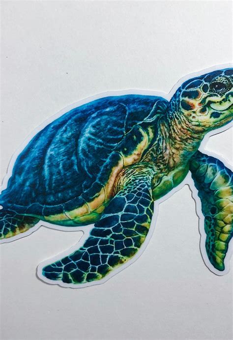 Sea Turtle Sticker Lamontagne Art