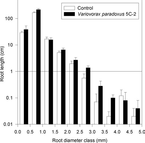 Relationship Between Root Length And Diameter For Peas Grown In Sand
