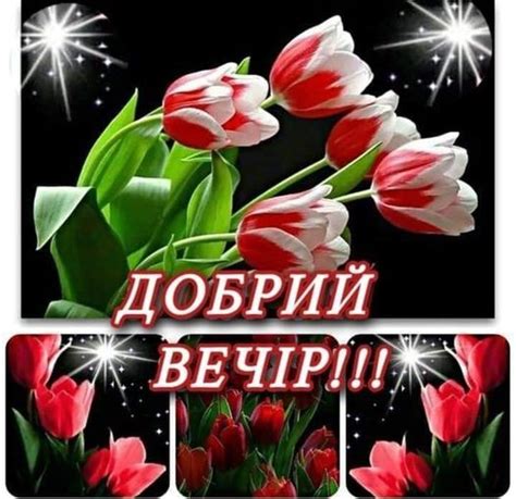 цветы добрый вечер Создать мем Meme