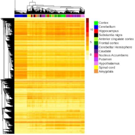 Unsupervised Hierarchical Clustering Of Genes Expressed In Human