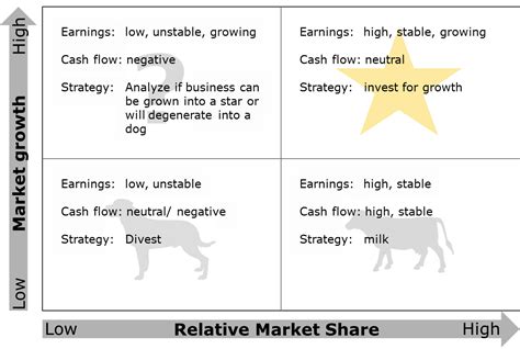 Examples Of Stars In Bcg Matrix Horprocess